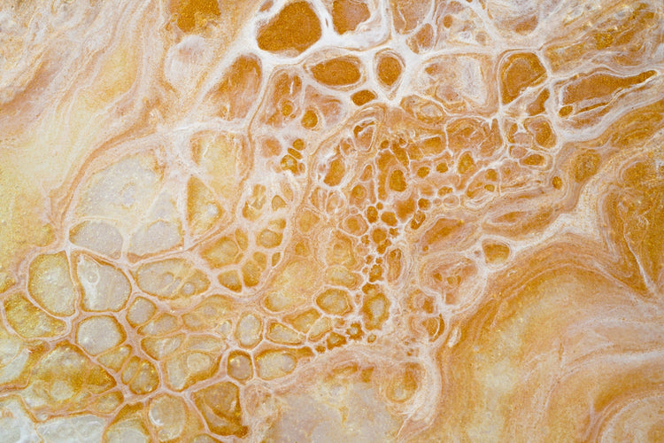 Top 5 Epoxy Resin Brands to Consider for Your Next Craft Project